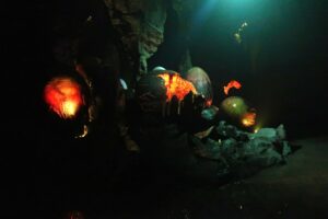 Nemesis: Sub-Terra – Alton Towers – Dark Ride Database