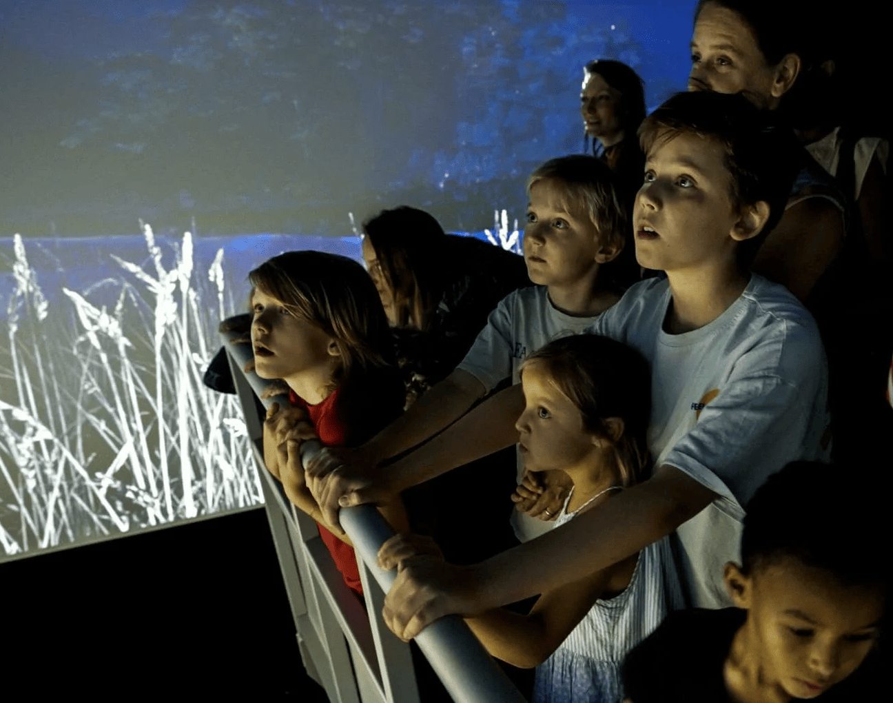 All rise for the stand-up dark- and showrides, now part of DRdb – DRdb